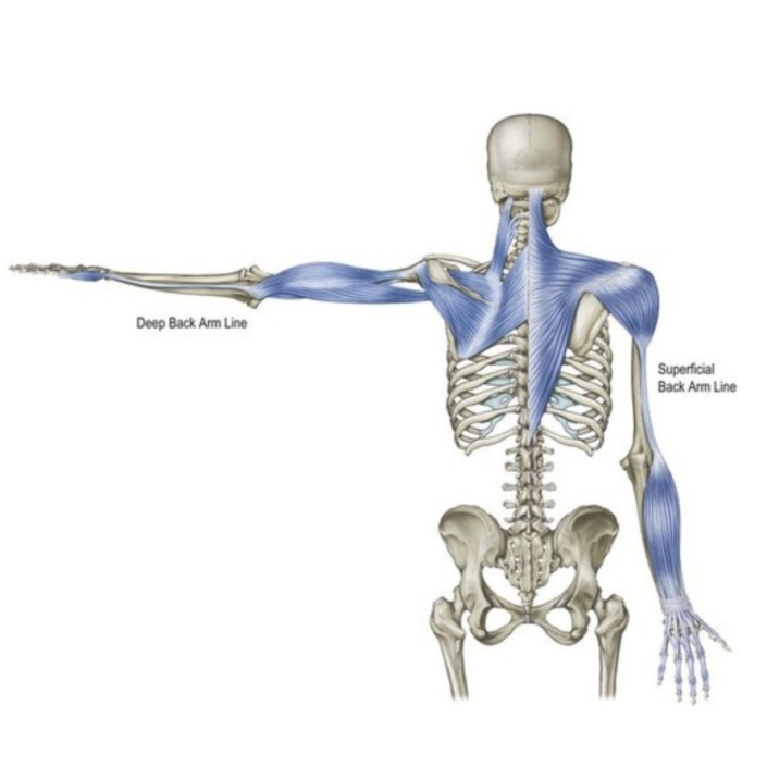 Akira Yoga | Yin & Vinyasa Yoga Teacher Training in Bali | Accredited ...